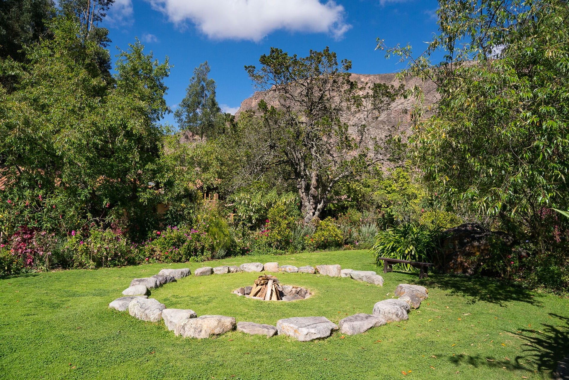 Andean Lore & the Lucuma Tree - Willka T'ika Wellness Retreat